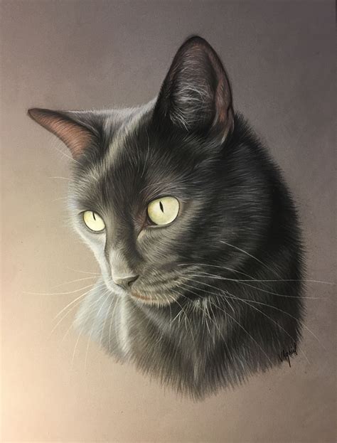 Draw A Cat Realistic Cat Drawing Realistic Drawings