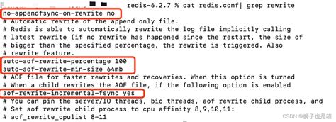 Redis 持久化 Aof（append Only File）empty File Appendonlyaof Csdn博客