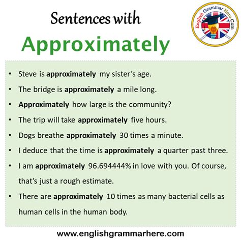 Sentences With Bring Bring In A Sentence In English Sentences For