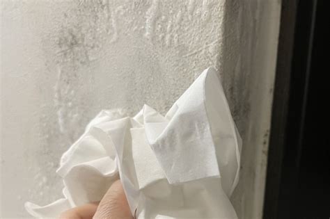 벽지 곰팡이 제거 쉽고 깔끔하게 해결하는 법 네이버 블로그