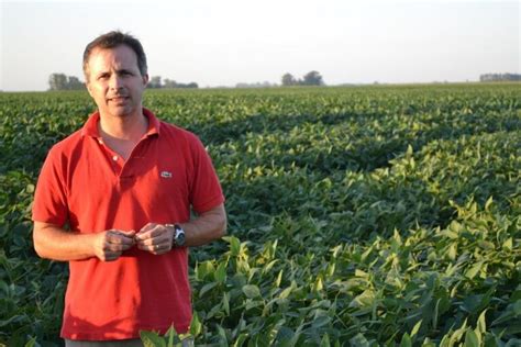 Lluvias “fantásticas” Llenan Los Granos De Soja Y Maíz En Todas Las