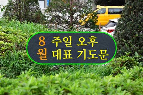 주일 오후 찬양 예배 대표 기도문 8월 둘째 주