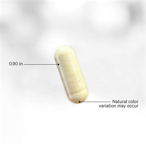 Codeage Methylated Multivitamin L Methylfolate Methylcobalamin