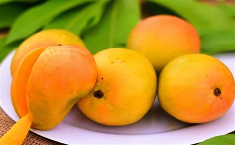 Ratnagiri Odop Alphonso Mango