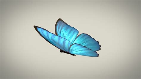 flying butterflies animation