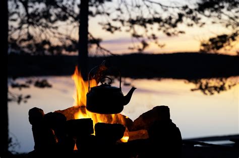 Myten Om Fiber Norwegian Carnivory