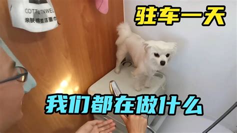 我们的房车生活不只有岁月静好，还有各种鸡毛蒜皮！忙碌却又惬意【咕嘟郭旅记】 Youtube