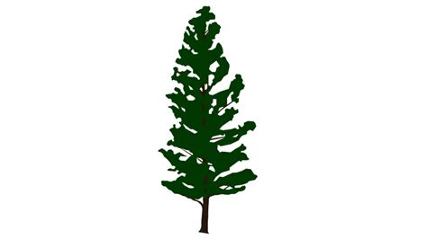 2d Schematic Pine Tree 3d Warehouse