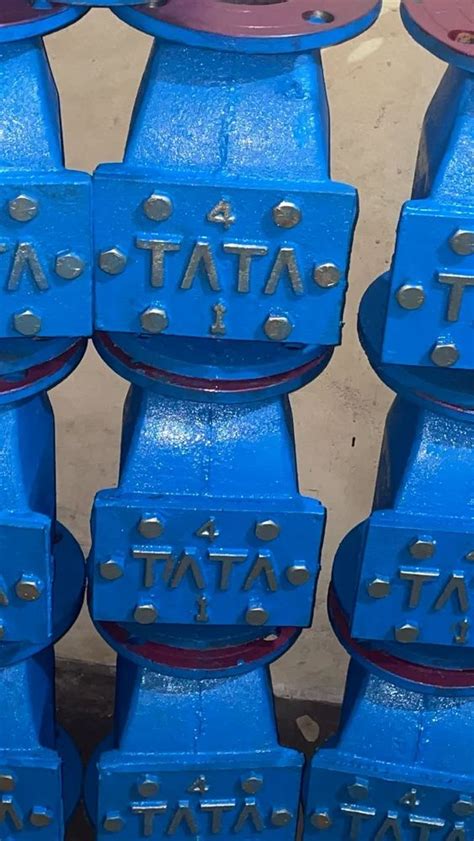 Reflux Valve Valve Size 4 Inch At ₹ 680piece In Agra Id 2854158680612