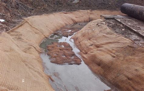 Silt Net Frog Environmental