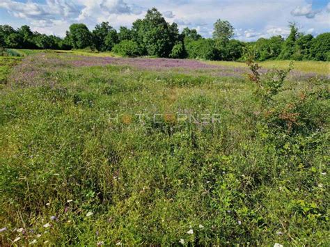 Bratulići Marčana Parcela Od 1900m2
