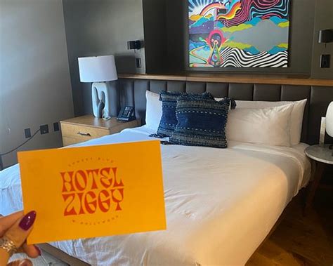 Hotel Ziggy Los Angeles 2025 Prices And Reviews West Hollywood Ca