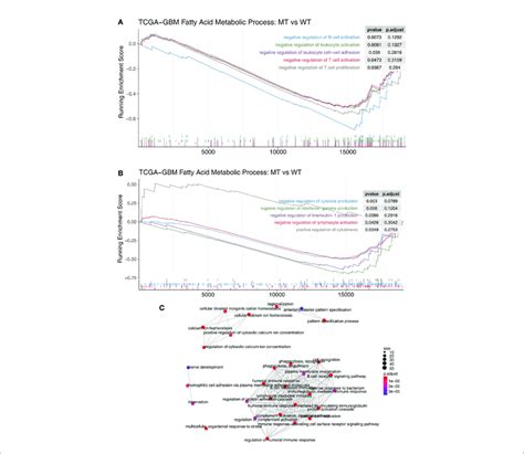 A The Gene Sets Enrichment Analysis Showed That The Enrichment