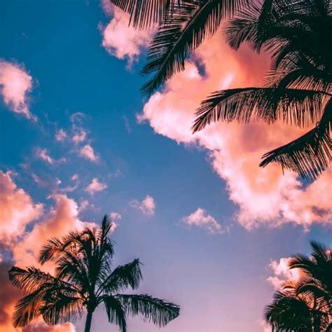 Melody Summer Youtube