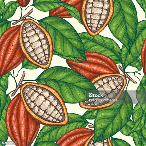 코코아 매끄러운 패턴 코코아 콩 벡터 일러스트레이션 초콜릿 콩 배경 디자인 손으로 그린 그림 일러스트레이션에 대한 스톡 벡터 아트 및 기타 이미지 Istock