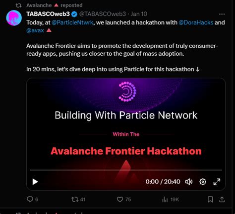 Expanding Particle Network Growth Development Recap