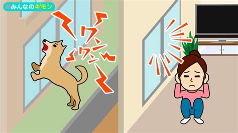 『近所の犬の鳴き声に困った どうすれば』在宅ワーク中に吠え続けられ、仕事に支障｜日テレnews Nnn