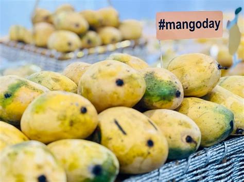 Zohaib Ali Posted On Linkedin