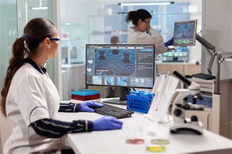 Khosta 2 Un Nouveau Virus Découvert En Russie La Santé Au Quotidien