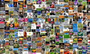 Unifying The CUDA Python Ecosystem NVIDIA Technical Blog