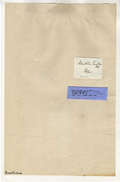 Algae World Collections Of Diatoms In The Royal Botanic Garden