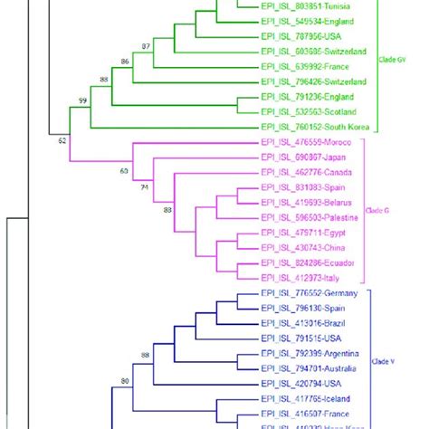 The Phylogenetic Tree Was Constructed Using Geneious Software The Download Scientific Diagram