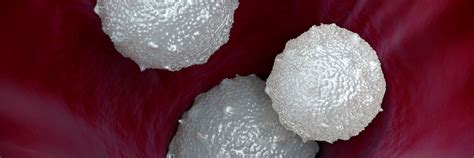 Explore Automated Dna Rna Extraction For Mrsa And Gbs Detection Revvity