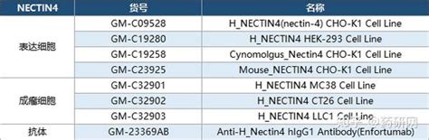 Nectin 4：一场国内药企的角逐 知乎