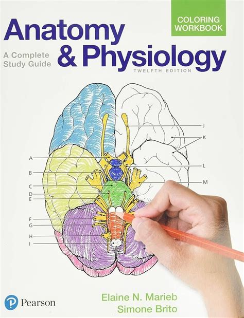 Anatomy And Physiology Coloring Workbook واسع ویب