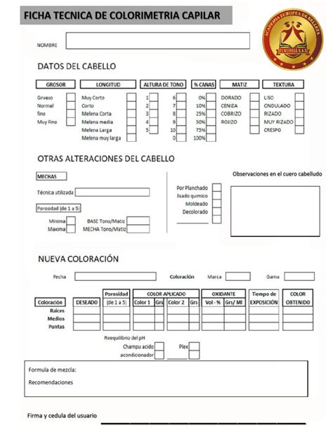 Ficha Técnica De Colorimetría Capilar Pdf