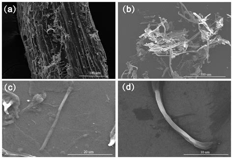 一种氧化选择性提取中药渣纤维素的方法