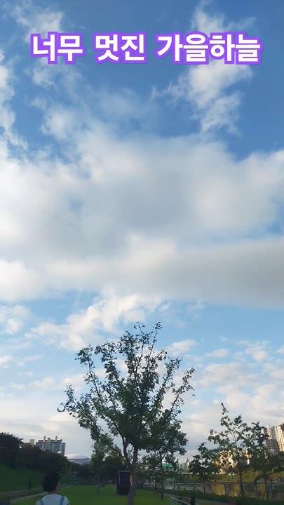 가을 하늘 너무 아름다워요 서선희tv 장윤정 추억의 발라드 파란하늘 안양천 멋지다 Shorts Youtube