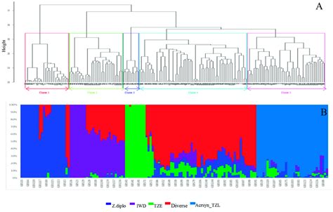 A Hierarchical Cluster Analysis Based The Genotypic Data Using Download Scientific Diagram