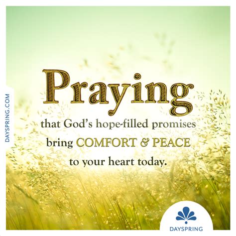 Comfort And Peace