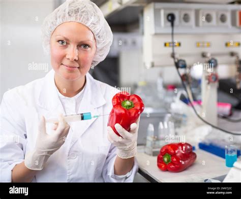 Female Scientist Injecting Reagent From Syringe Into Bell Pepper Performing Scientific
