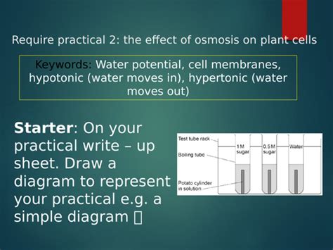 Gcse Aqa Required Practical Osmosis Teaching Resources
