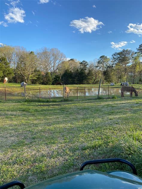 Vann Cunningham Facebook