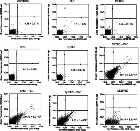 Effect Of The Different Treatments Of Fluconazole For A Period Of 24 H Download Scientific