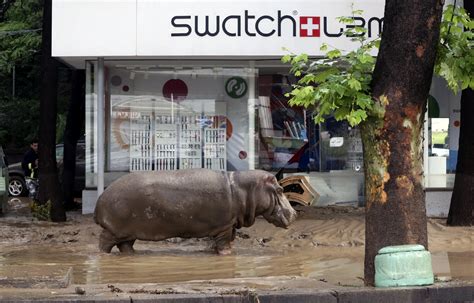 Fotos Imagens Do Dia 14 De Junho De 2015 14062015 Uol Notícias