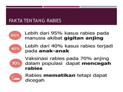 Penyuluhan Penyakit Rabies Pptx