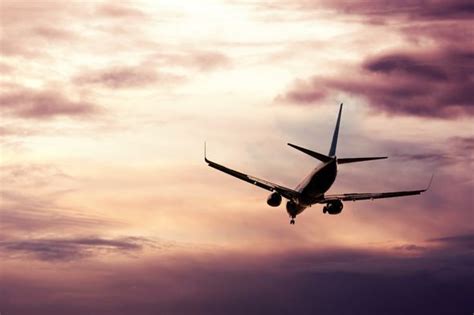 Flights Instagram Repulsed As Plane Passenger Does This With Pizza In