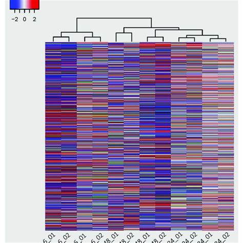 Heatmap Showing Hierarchical Clustering Of 533 Degs At 6 24 And