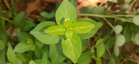 Kishore Reddy Fotografía