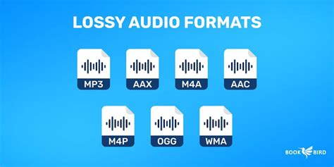 Audiobook Formats Picking The Perfect File Type