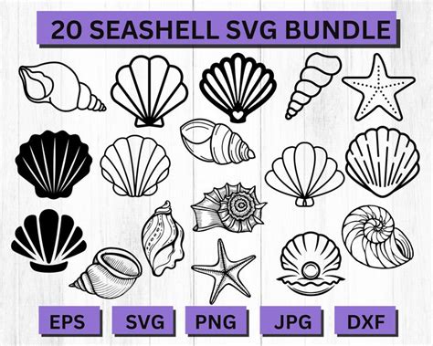Seashell Svg Beach Svg Sea Shell Svg Seashell Clipart Seashell Sea