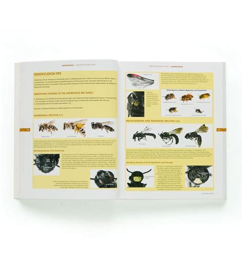 The Bees In Your Backyard Lee Valley Tools