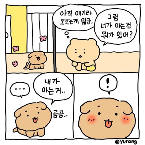 망그러진 곰 On Twitter 강아지의 언어 13 Vhw72jqapg Twitter