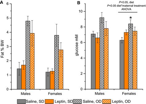 Influence Of Leptin Administration To C57bl Mice On Gd12 On Abdominal