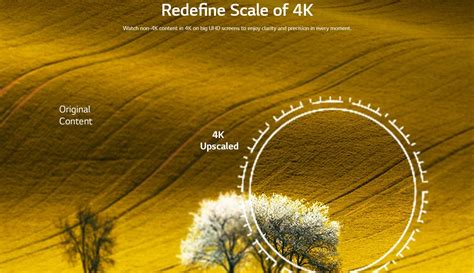 LG 70 Inch 4K Smart UHD TV UR8000 Incredible Connection