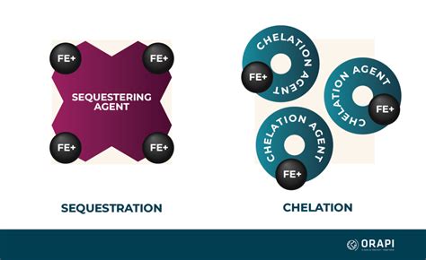 Vehicle Cleaning Sequestering Agents And Chelating Agents Orapi Asia